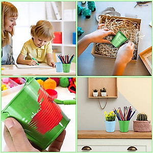 WILLBOND 6 Pack Mini Metal Buckets with Handles Small Pails Pencil Buckets Colored Galvanized Bucket for Kids Classroom Crafts Crayons Storage Party Favors, 2.95 Inch High