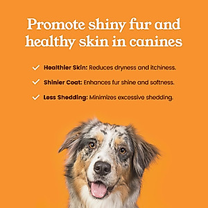 Skin & Coat Chews