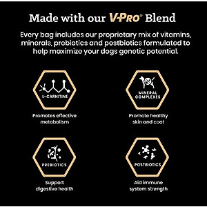 Victor Super Premium Dog Treats – Classic Hi-Pro Strips Dog Treats – Savory Dog Treats with Real Beef – Tender Beef Dog Treats for Active and Sporting Dogs, 14 oz