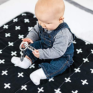 Gigglespots: Black and White Baby Flashcards (Nature On-a-Ring)