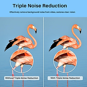 TuTu 22-inch TV,60Hz 1080P FHD LED Television and Monitor with Dolby Audio for Home or Office 22in Flat-Screen TV with HDMI,USB,VGA,RCA(2023 Model)