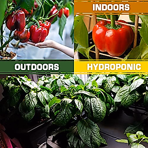 10 Sweet and Hot Pepper Seeds for Gardening Indoors & Outdoors - Non GMO Heirloom Pepper Seeds Variety Pack - Cayenne, Anaheim, California Bell & More