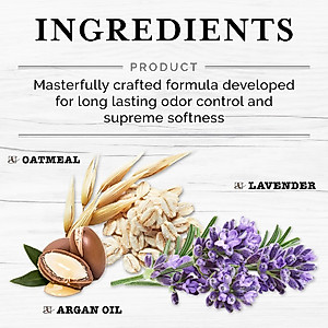 Rosen Apothecary 5-in-1 Odor Control Dog Spray, 240ml/8 fl oz, Spray for Dogs with Odor Issues, Oatmeal, Lavender and Tea Tree Oil, Detangles Fur