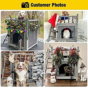 Aivituvin Dog House Feral Cat House Outdoor and Indoor,Pet Houses with Stairs,2 Storys