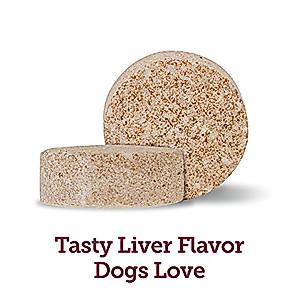 Vetality Canine Aspirin for Dogs | Fast Pain Relief | Large Dogs | Liver Flavor | 120 Chewable Tablets