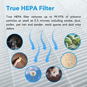 Hunter Fan Company HP450UV True HEPA UVC Light Technology Air Purifier, Small, Black