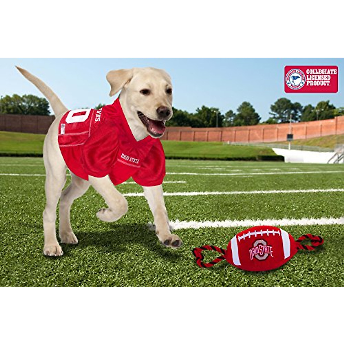 Pets First NCAA Ohio State Buckeyes Football Dog Toy, Tough Quality Nylon Materials, Strong Pull Ropes, Inner Squeaker, Collegiate Team Color (OH-3121)