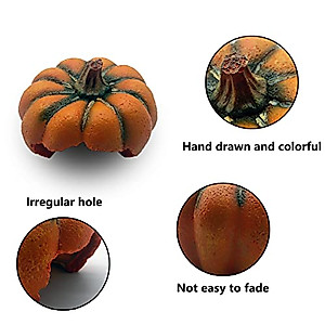 BNOSDM Reptile Hideouts Pumpkin House Resin Aquarium Decorations Chameleons Hideout Hut Habitat for Turtles Lizards Gecko Spider Chameleons