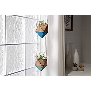 Cricut 6X12(4) Basswood Natural