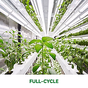 Monios-L LED Grow Light Strips,Full Spectrum Sunlight White, 3FT T5 120W(8X15W,600W Equivalent) for Indoor Plants,Grow Bars with Individual Switch for Herbs/Hydroponics/Succulents,8-Pack