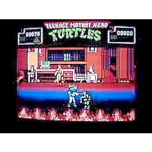 Teenage Mutant Hero Turtles the Coin-up