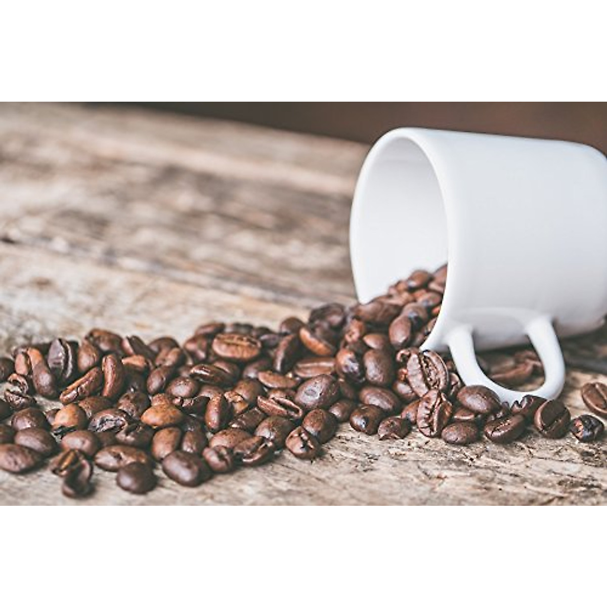 BALCI - Stainless Steel Coffee Scoop (2 Tablespoon Scoop) Exact Measuring Spoon for Coffee, Tea, Sugar, Flour and More! …