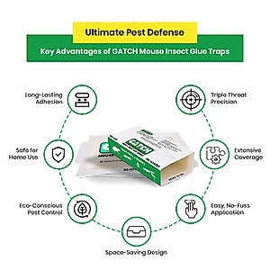 GATCH Glue Boards (72pk - Green, Scented, 72, Count)