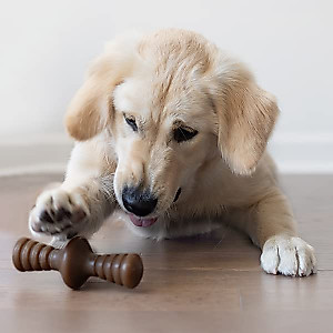 Benebone 2-Pack Maplestick/Zaggler Durable Dog Chew Toys, Real Maplewood, Real Bacon, Made in USA Small