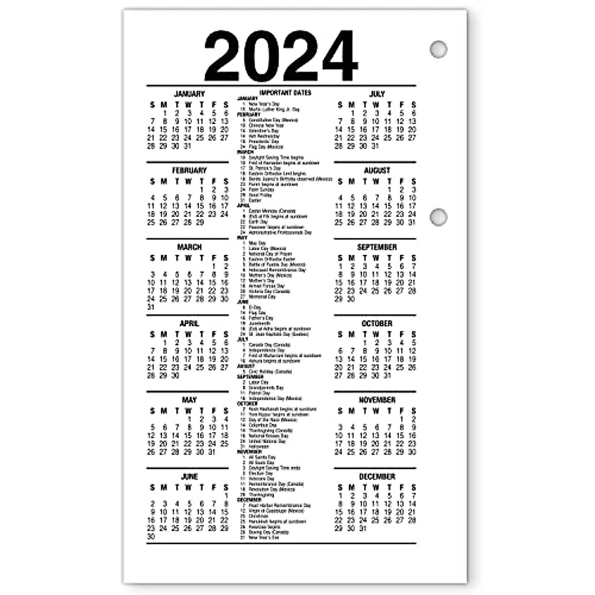AT-A-GLANCE 2023 Daily Desk Calendar Refill, 3-1/2" x 6", Loose Leaf, Recycled (E717R50)