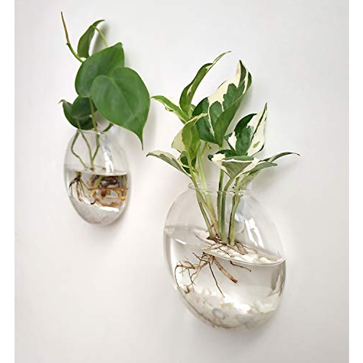 Mkono Wall Hanging Planter Propagation Station Glass Flower Vase for Hydroponics Plants, Bathroom, Home Office Living Room Decor Gift, Oblate Set of 4