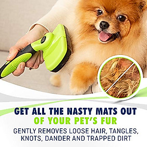 Rexipets Self Cleaning Slicker Brush- for Dogs, Cats & Pets-One Click Cleaning Function-Gentle & Effective Cat, Pet & Dog Hair Remover-Dog Grooming Accessories for Small, Medium & Large Dogs