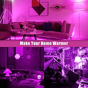 Bestview LED Flame Effect Light Bulbs,4 Modes Smart E26/E27 Base Flickering Fire Light Bulbs for Halloween, Christmas, Party, Porch, Indoor&Outdoor Home Decoration Lighting (Purple 2 Pack)