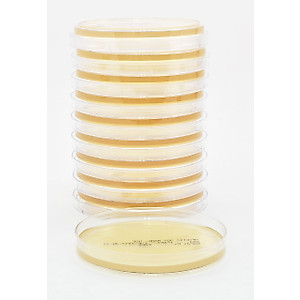Tryptic Soy Agar (TSA), USP, a General Growth Medium for Microorganisms, 10 Plates Per Pack, by Hardy Diagnostics