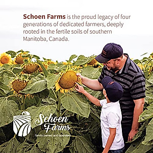 Schoen Farms Striped Sunflower Seeds for Birds, (3 Pound)