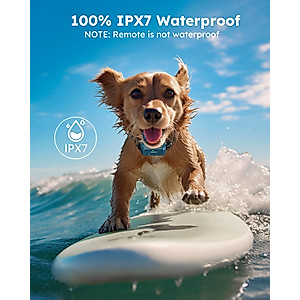 Jugbow Dog Shock Collar - 4200FT Dog Training Collar with Remote, IPX7 Waterproof Electric Collar with 4 Training Modes, Security Lock, Rechargeable e-Collar for All Breeds, Sizes