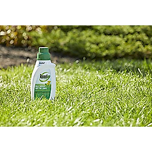 Roundup For Lawns2 Concentrate (Northern), 32 oz. - Lawn Safe Weed Killer for Northern Lawns, Kills Crabgrass, Dandelion, Clover and Yellow Nutsedge - Kills Weeds, Not the Lawn