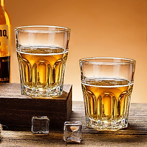 QAPPDA Shot glasses Set,1.6 OZ Mini Glass Cups Espresso Shot Glass Tequila Bar Glass,Clear Shooter Glass Bulk Set of 48,Small Glass Shot Cups with Heavy Base for Vodka,Liquor,Party,Birthday.