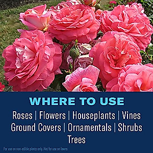 BioAdvanced 3-In-1 Insect, Disease and Mite Control, Concentrate, 32 oz