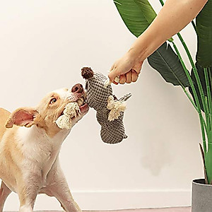 Sedioso Dog Toys, Dog Plush Toy for Large Breed, Cute Squeaky Dog Toys with Crinkle Paper, Dog Chew Toys for Puppy, Small, Middle, Big Dogs (Donkey(Grey))