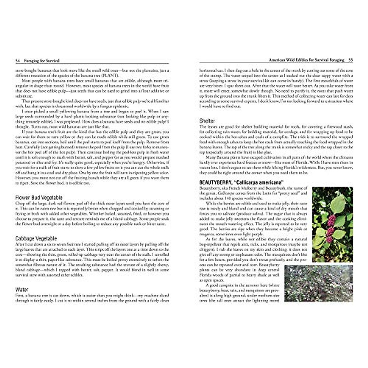 Foraging for Survival: Edible Wild Plants of North America