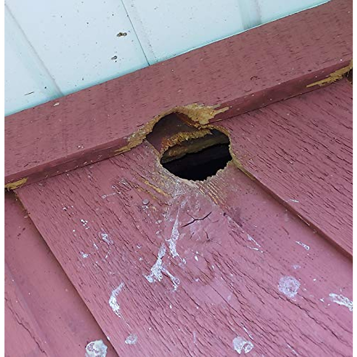 Bird Banisher Woodpecker Deterrent & Bird Scare Device