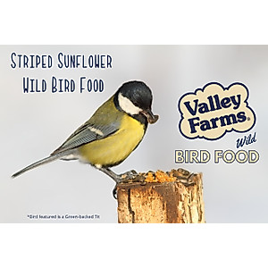 Valley Farms Striped Sunflower Wild Bird Seed for Outside Feeders, Striped Sunflower Seeds for Birds, Sunflower Wild Bird Food (25 LBS)