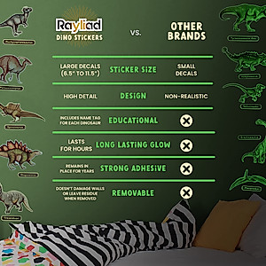 Glow in The Dark Dinosaur Wall Stickers - 10 Large Bright Wall Decals for Bedroom Walls and Ceilings - for Boys Room and Girls Room - Set 1