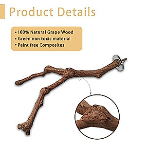 PINVNBY Parrot Perches Natural Birds Stand Wild Grape Stick Grinding Paw Climbing Wood Cage Accessories and Toy for Parakeet, Lovebirds,Budgies,Cockatiels and Finches