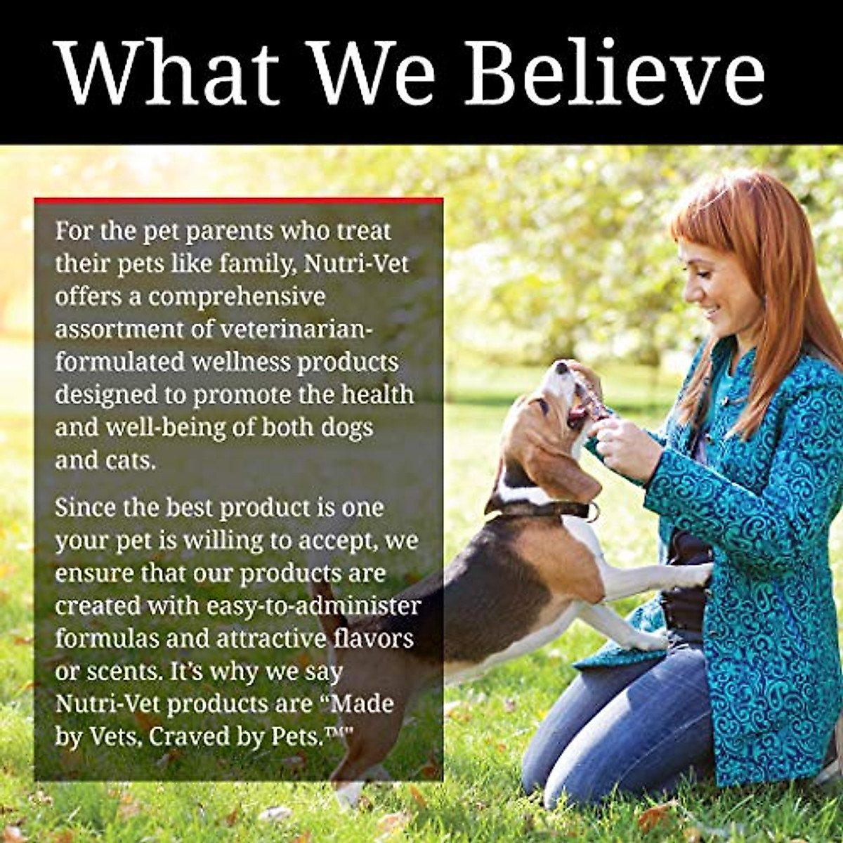 Nutri-Vet Aspirin for Dogs | Medium to Large Dogs | 300mg | 75 count