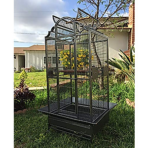 Large Elegant Wrought Iron Open Dome Play Top Bird Parrot Cage, Include Metal Seed Guard Solid Metal Feeder Nest Doors