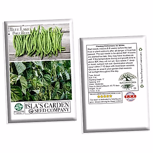 Blue Lake Pole Bean Seeds for Planting, 50+ Heirloom Green Bean Seeds Per Packet, (Isla's Garden Seeds), Non GMO Seeds, Botanical Name: Phaseolus vulgaris