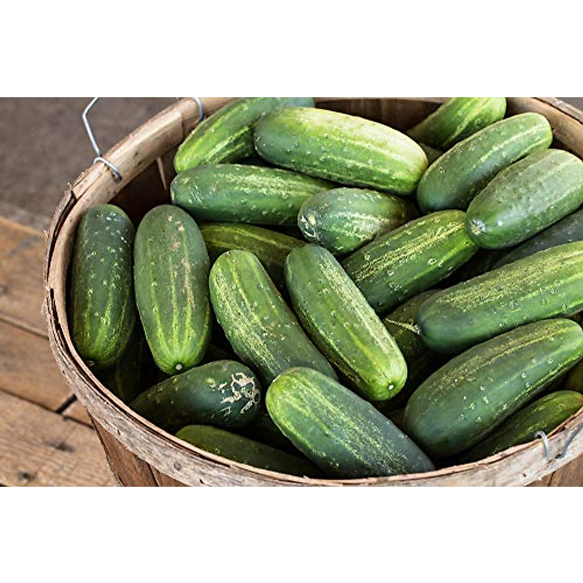 Carolina Cucumber Seeds for Planting, 100+ Heirloom Seeds Per Packet, (Isla's Garden Seeds), Non GMO Seeds, Botanical Name: Cucumis sativus, Great Home Garden Gift