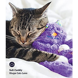 Petstages Purr Pillow Kitty Soothing Plush Cat Toy
