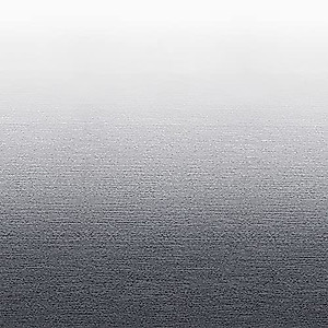 RecPro RV Awning Fabric Replacement 20 Foot Camper Awning | Gray | Width Size Options | 8' (96") Length RV Awning | Heat-Sealed | 3 Year Warranty (20 Feet, Actual 19' 1")