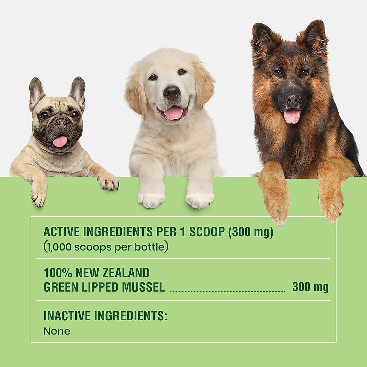 Special Breed Green Lipped Mussels for Dogs & Cats - Premium Joint Supplement Powder for HIPS, Joints, and Muscles (300 Grams, Up to 1,000 Servings)