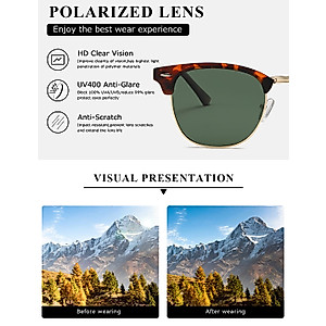 AEVOGUE Polarized Sunglasses For Women And Men Semi Rimless Frame Retro Sun Glasses AE0369 (Matte Tortoiseshell Green Lens&Transparent Brown Blue)