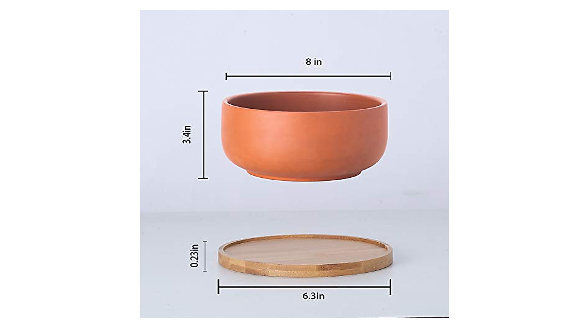 EPFamily 8-Inch Terracotta Succulent Planter with Tray