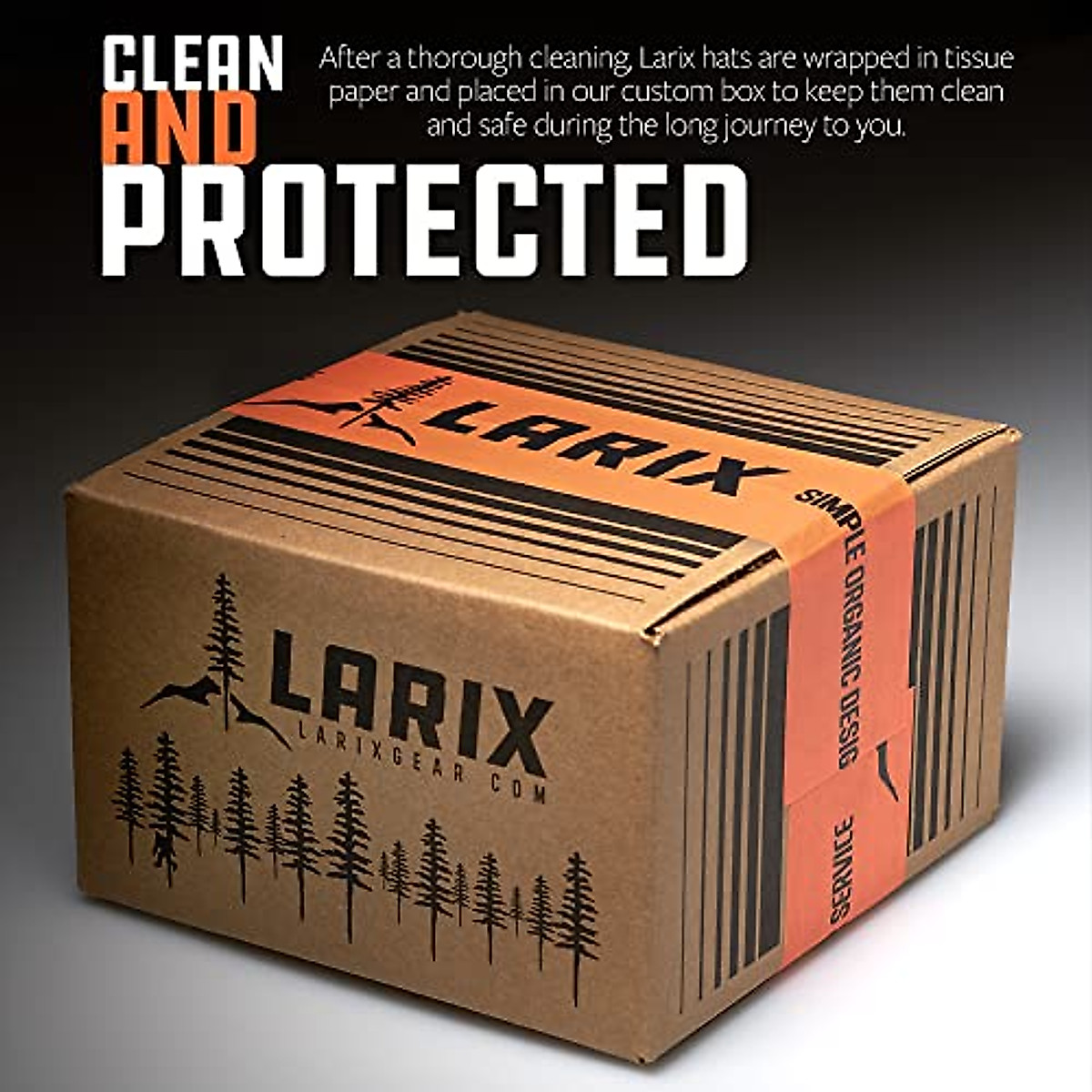 LARIX GEAR Washington State Forest (Black Graphite Hat) Crimson Gray Logo