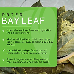 QUINTAL MX Natural Bay Leaves Whole, Hojas de Laurel, Dried Bay Leaf for Cooking, Whole Bay Leaves Dried for a Variety of Recipes, RESEALABLE BAG (16OZ)