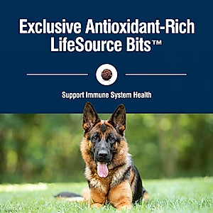 Blue Buffalo True Solutions Blissful Belly Digestive Care Natural Dry Food for Adult Dogs, Chicken, 11-lb Bag