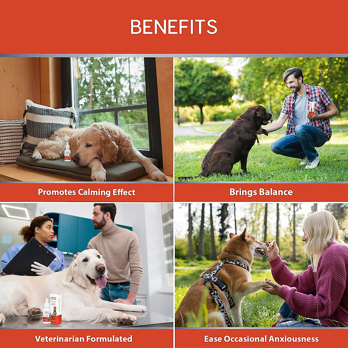 Aspen Green USDA Certified Organic Hemp Oil for Dogs & Cats - Helps with Calming and Mobility - Dog Hemp Oil Drops May Support Occasional Dog & Cat Anxiety Relief (Bacon Flavored, for Large Pets)