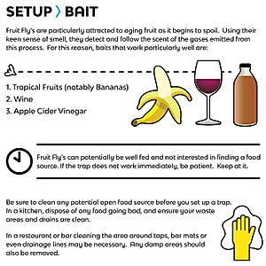 Fly-On-In, Fruit Fly Bottle Top Trap – Reusable Non-Toxic Indoor/Outdoor Catcher (Yellow, 2 pcs)