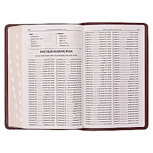 Personalized Bible Custom Text Your Name Holy Bible KJV Standard Size Thumb Index Edition Burgundy King James Version Bible Custom Made Gift for Baptism Christenings Birthdays Celebrations