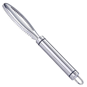 AKOAK 1 Pack Stainless Steel Fish Scale Planer Fish Scale Skin Brush Scaler Peeler Quick Removal of Fish Scale Cleaning Scraper Efficient Fish Scale Scraping Seafood Tools Kitchen Accessories